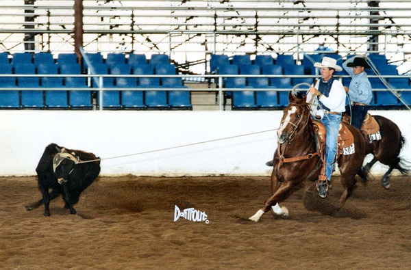 Mark Sheridan Quarter Horses, Inc. - Mark Sheridan Quarter Horses, Inc.