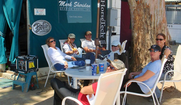 Mark Sheridan Quarter Horses, Inc. - Mark Sheridan Quarter Horses, Inc.